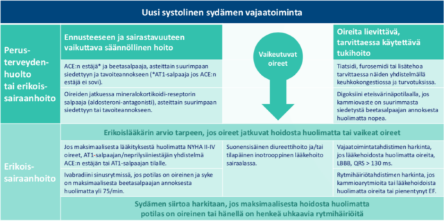 Lähete erikoissairaanhoitoon – Sydämen vajaatoimintapotilaan hoitoketju